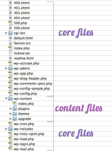 Why Website Reinfections Happen