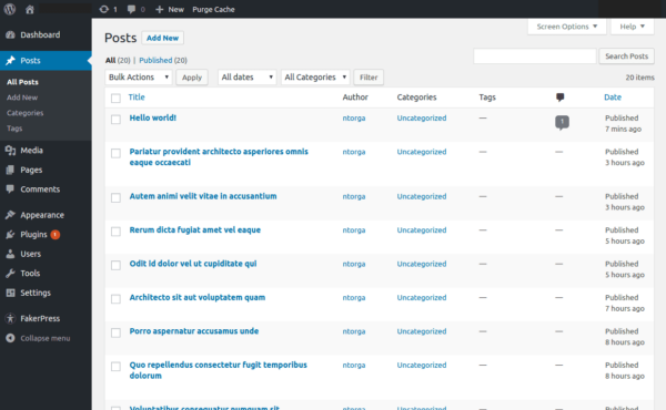 Testing the Impacts of Website Caching Tools