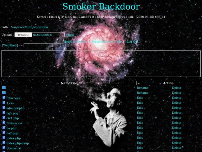 Smoker Backdoor: Evasion Techniques in Webshell Backdoors
