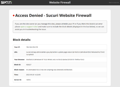 What is Virtual Patching: A Guide to Preventing Vulnerabilities (2024 Guide)