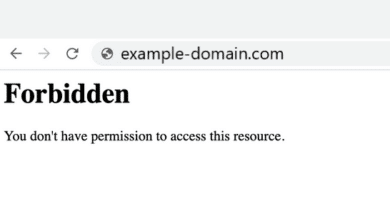 What is HTTP Error 403 & How to Fix It (2024 Guide)