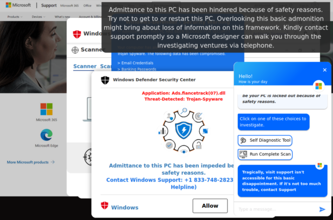 From Google DNS to Tech Support Scam Sites: Unmasking the Malware Trail